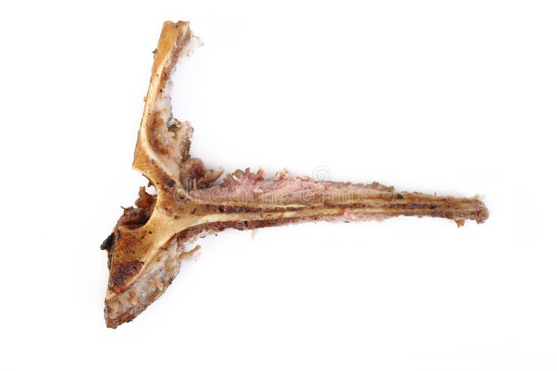 Meat Bone on White Background Stock Photo - Image of delicious ...
