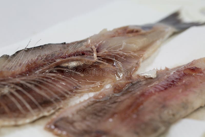 Meat and Bones of Fresh Herring for a Delicious Dish, Carve Fish Stock ...