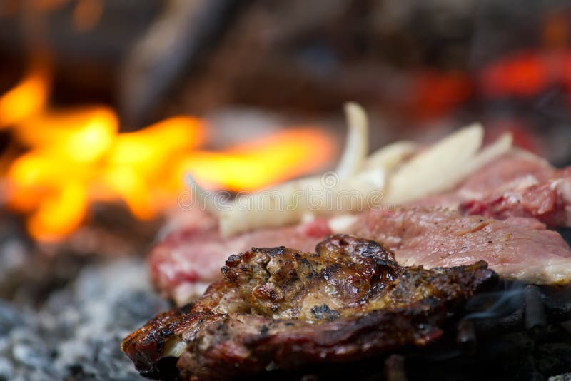Meat on coals stock image. Image of outdoor, home, diet - 22428829