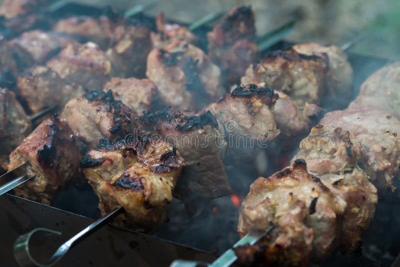 Meat on coals stock image. Image of kebab, feast, foods - 40771755