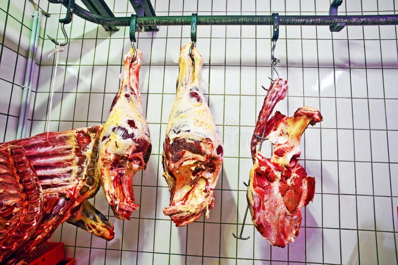 Meat in a Cold Storage House of a Butchers Shop Stock Photo - Image of ...