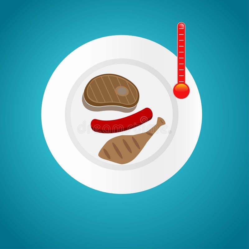 Meat Products on a Plate with a Thermometer, Food Safety Rules Concept ...