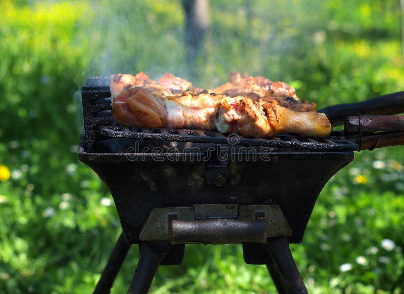 Meat Cooking Outdoors Rural Kitchen with Wood on Open Flame Stock Image ...