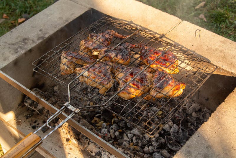 Meat is Cooking on a Brazier. Barbeque Meat. Meat on a Fire Stock Image ...