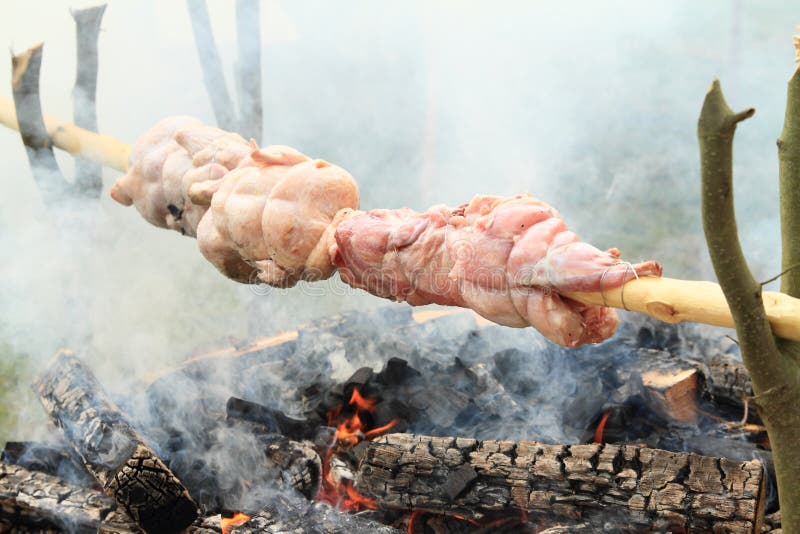 Broiled chickens. stock image. Image of chicken, fried - 1901307