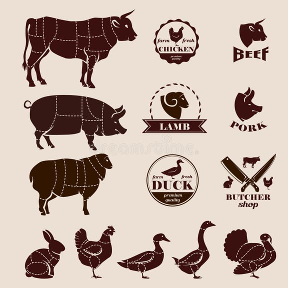 Meat Cuts, Butcher Retro Emblems and Labels Set Stock Vector ...