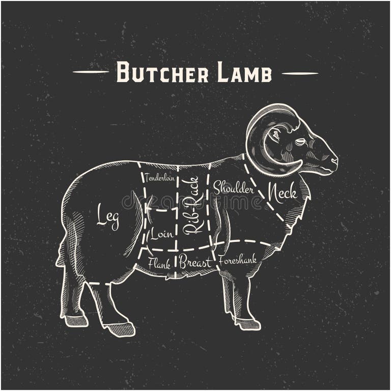 Lamb Cuts Diagram Stock Illustrations 228 Lamb Cuts Diagram Stock Illustrations Vectors