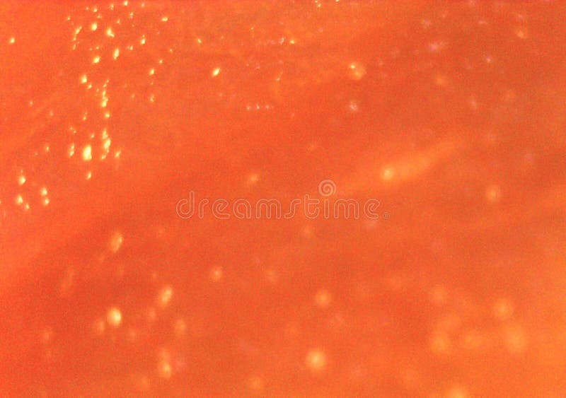 Meat in Detail. Image Under the Microscope, Micro Photography. Science ...