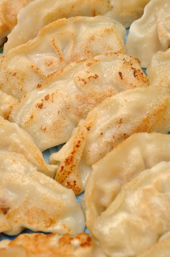 Meat dumpling stock photo. Image of appetizer, freshness - 21167276