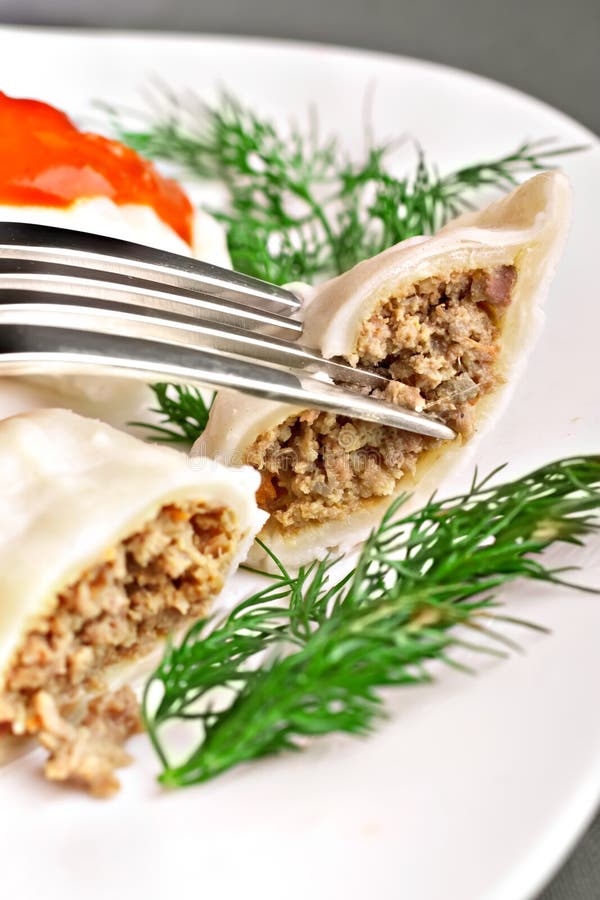 Meat dumplings stock image. Image of cuisines, stuffed - 22383369