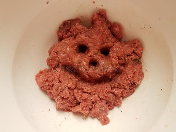Meat Face in Raw Beef in White Container Stock Image - Image of amusing ...