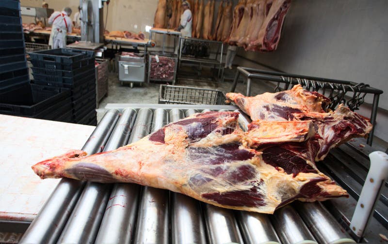 Meat factory stock image. Image of food, industry, pork - 29607627