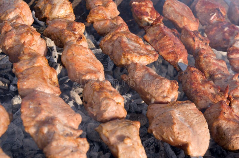Meat and fire stock image. Image of heat, shashlik, picnic - 4970839