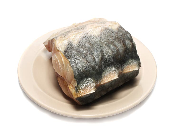 Sturgeon Meat Ready for Cooking. Stock Photo - Image of seafood, meat ...