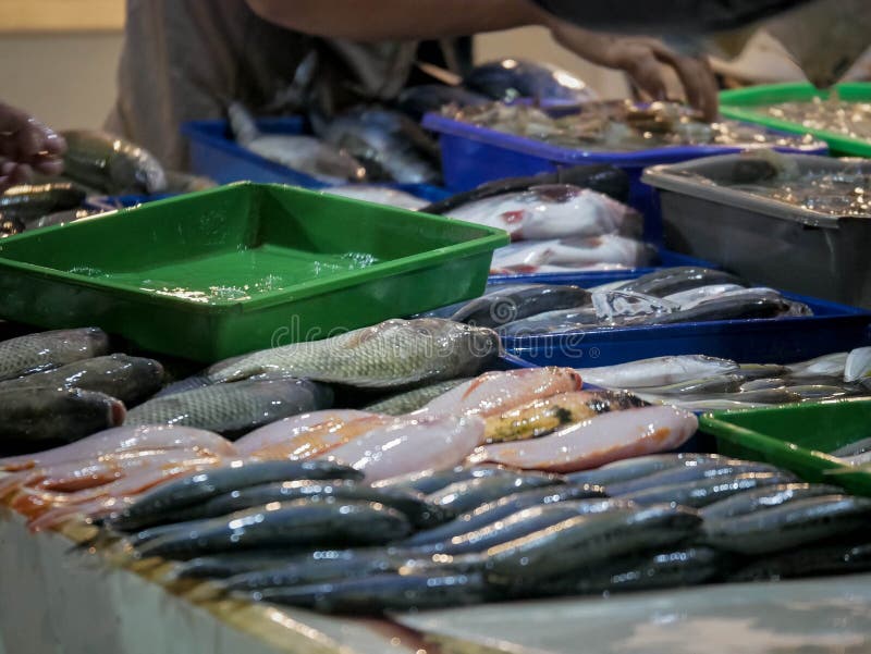 Meat Fish Vegetables Groceries Market Stock Photo - Image of vegetables ...