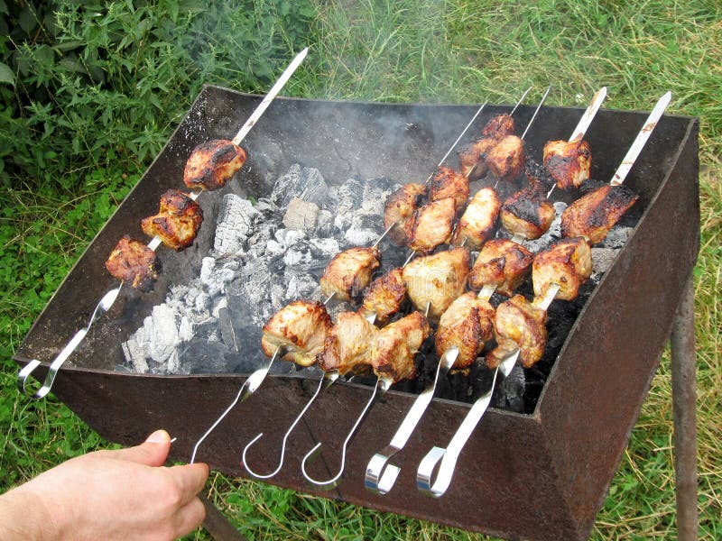 Meat on fire stock photo. Image of chicken, fire, picnic - 179129574