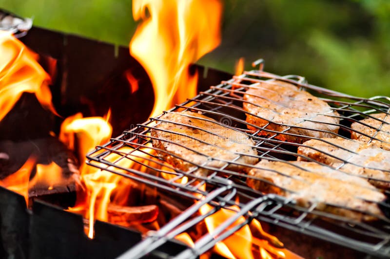Meat fried on the grill stock image. Image of apple, plum - 35779601