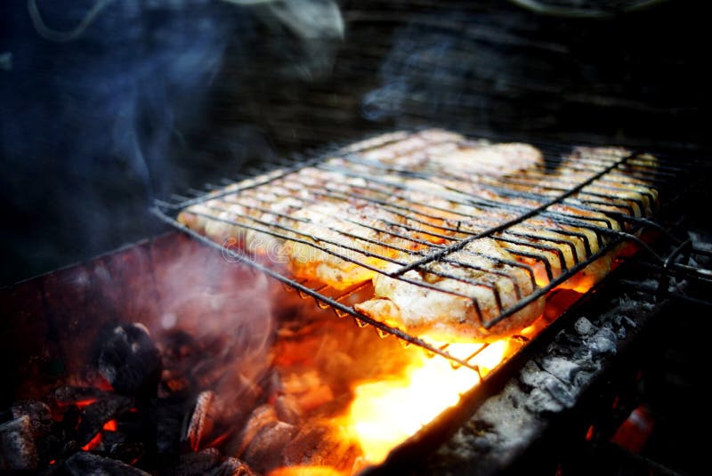 Meat is fried on the grill stock image. Image of beef - 101203777