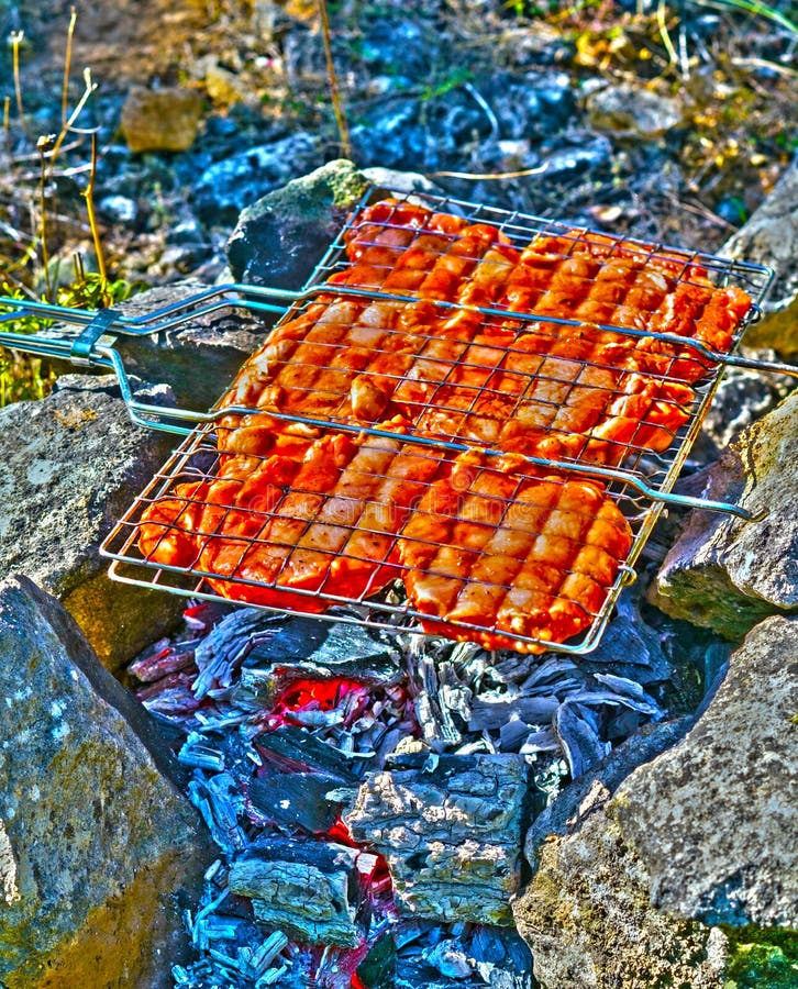 Meat frying on grill stock image. Image of pork, animal - 219710699