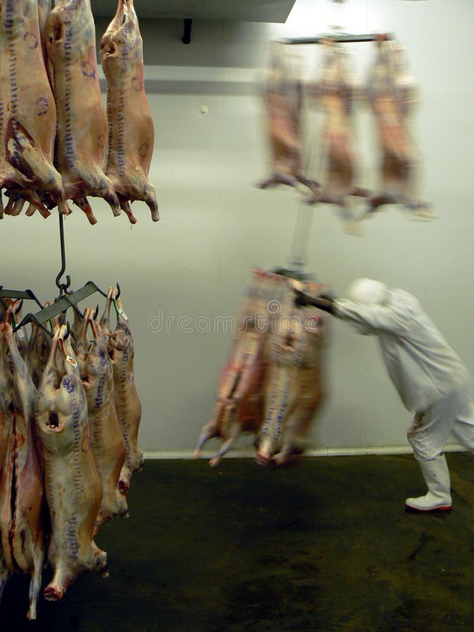 Meat on the go stock photo. Image of food, hygienic, labour - 4849488