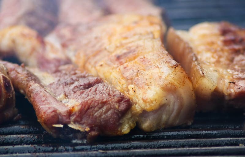 Meat on the grill stock image. Image of grilled, grill - 14219071