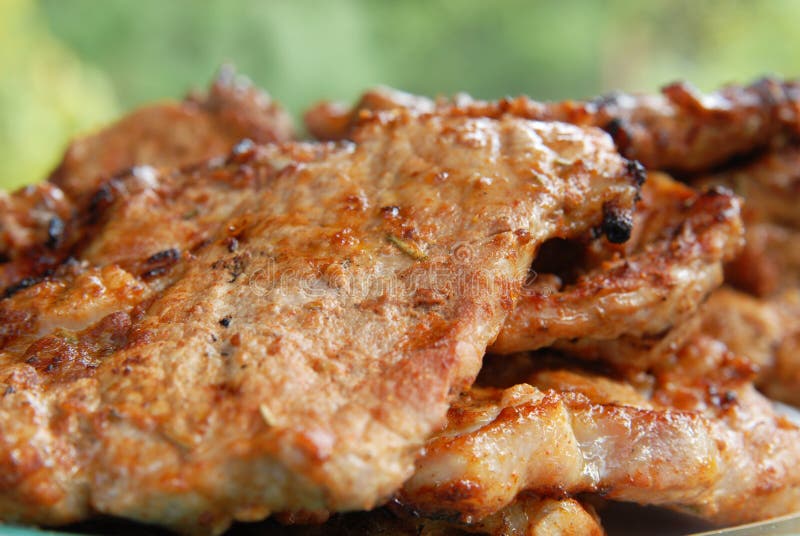 Meat on grill , barbeque stock photo. Image of juicy - 22105132