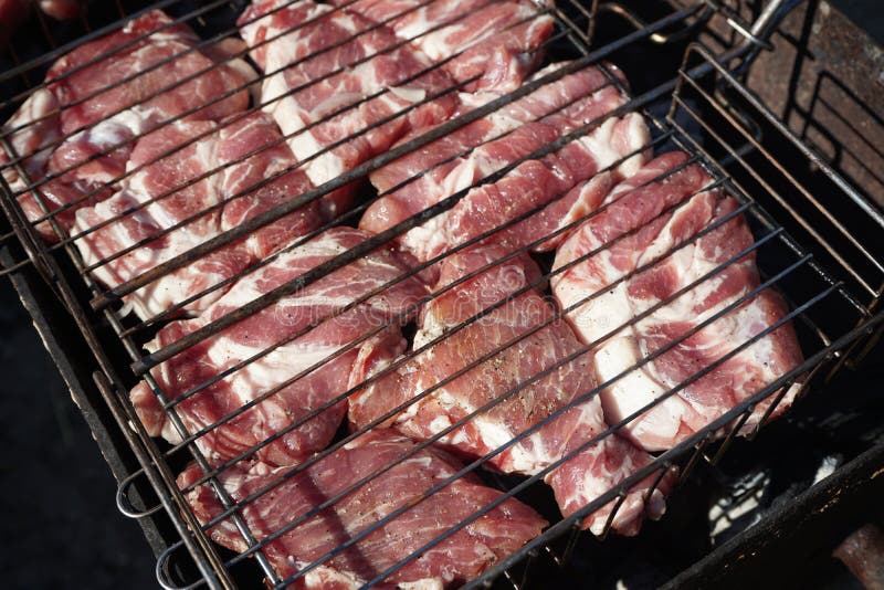 Meat on the Grill is Fried Over the Coals Stock Image - Image of ...