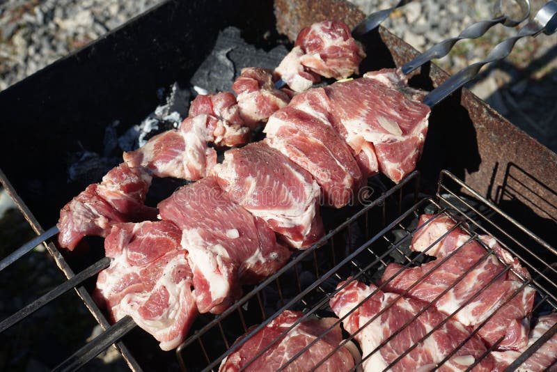 Meat on the Grill is Fried Over the Coals Stock Photo - Image of cook ...