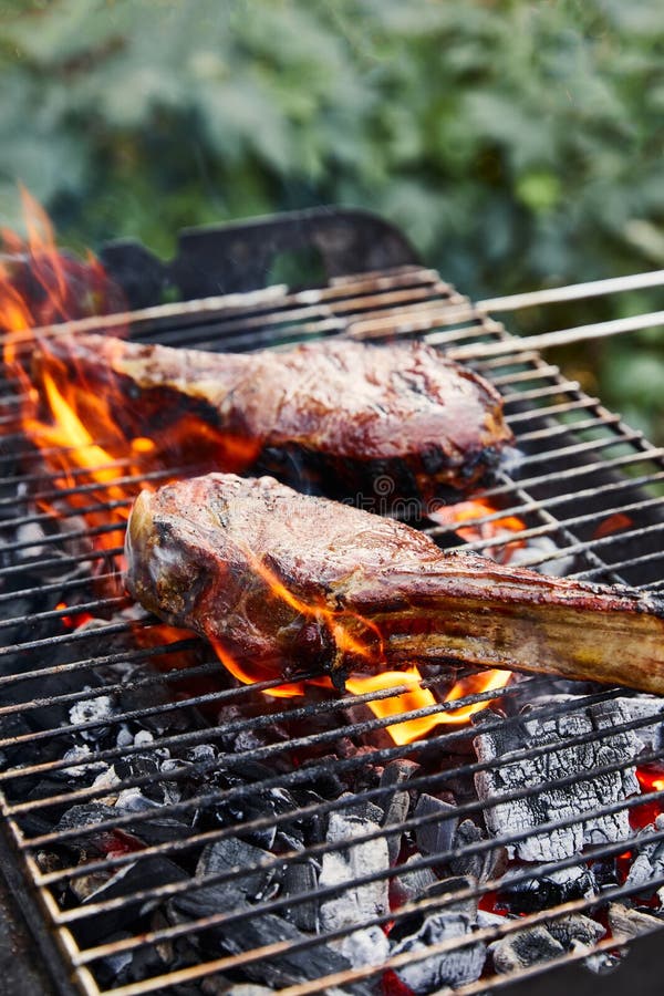 Meat Grilling on Barbecue Grid and Stock Photo - Image of fire ...