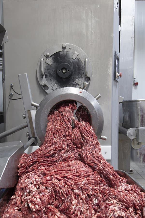 The Meat in the Grinder. the Meat Industry Stock Image - Image of grind ...