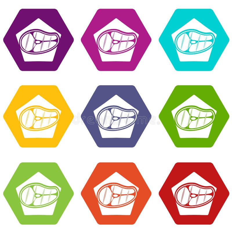 Meat icons set 9 vector stock vector. Illustration of natural - 117772333