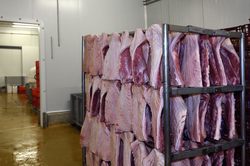 Meat Industry Processing Pork Stock Photo - Image of processing ...