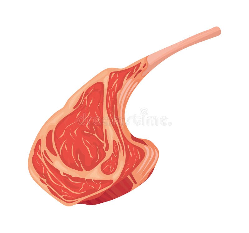 Meat lamb chop stock vector. Illustration of ingredient - 265643241