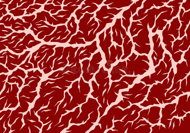Meat Marbled Texture. Raw Red Fresh Meat Slice for Cooking, Aged Steak ...