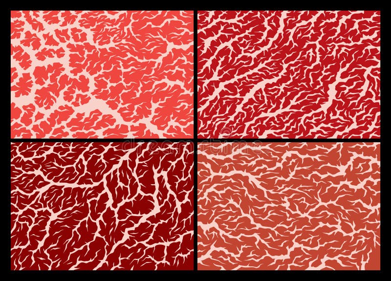 Meat Marbled Texture Set. Raw Red Fresh Meat Slice for Cooking, Aged ...