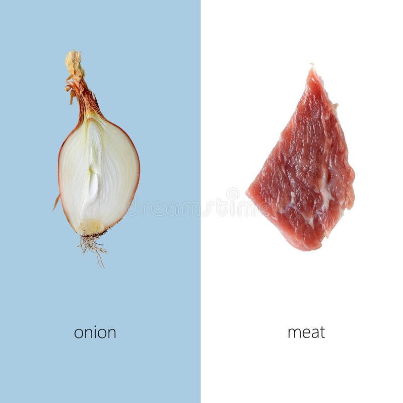 Meat and onion stock image. Image of onion, cooking - 191258893