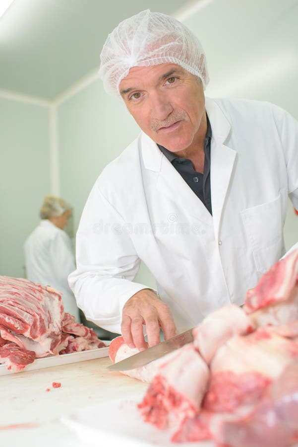 Meat Packer Inspecting Meat Stock Photo - Image of lean, shipping: 89030342