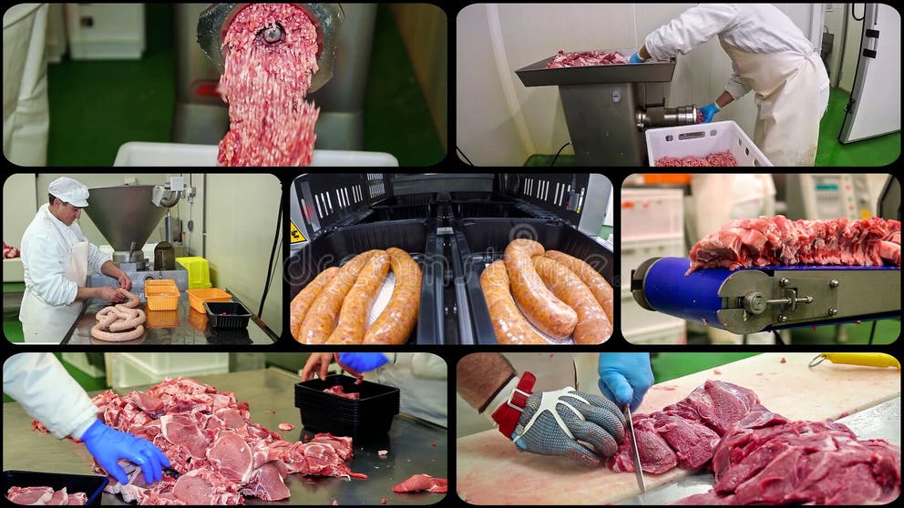 Meat Packing Industry - Collage Photo Stock Photo - Image of butchery ...