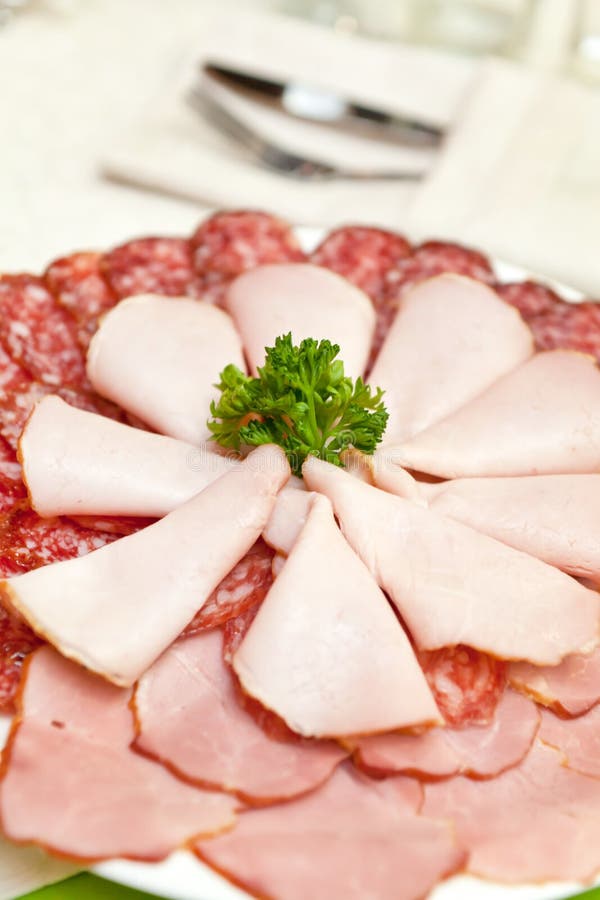Meat on the plate stock photo. Image of party, salami - 22377786