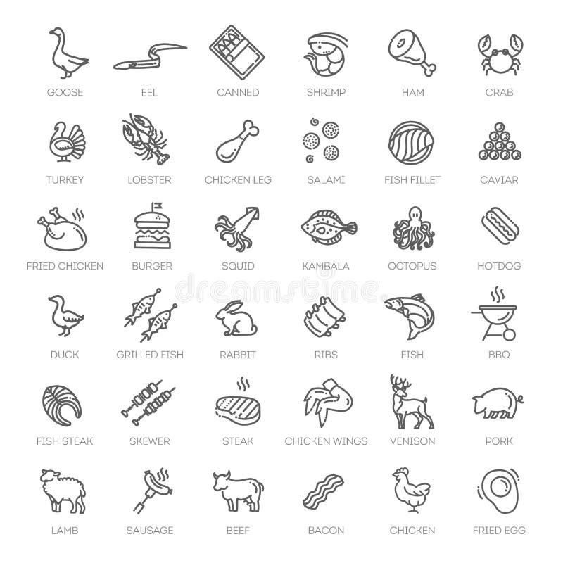Meat, Poultry, Fish and Eggs - Minimal Thin Line Web Icon Set Stock ...
