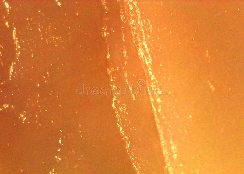 Meat Product in Detail. Image Under the Microscope, Micro Photography ...