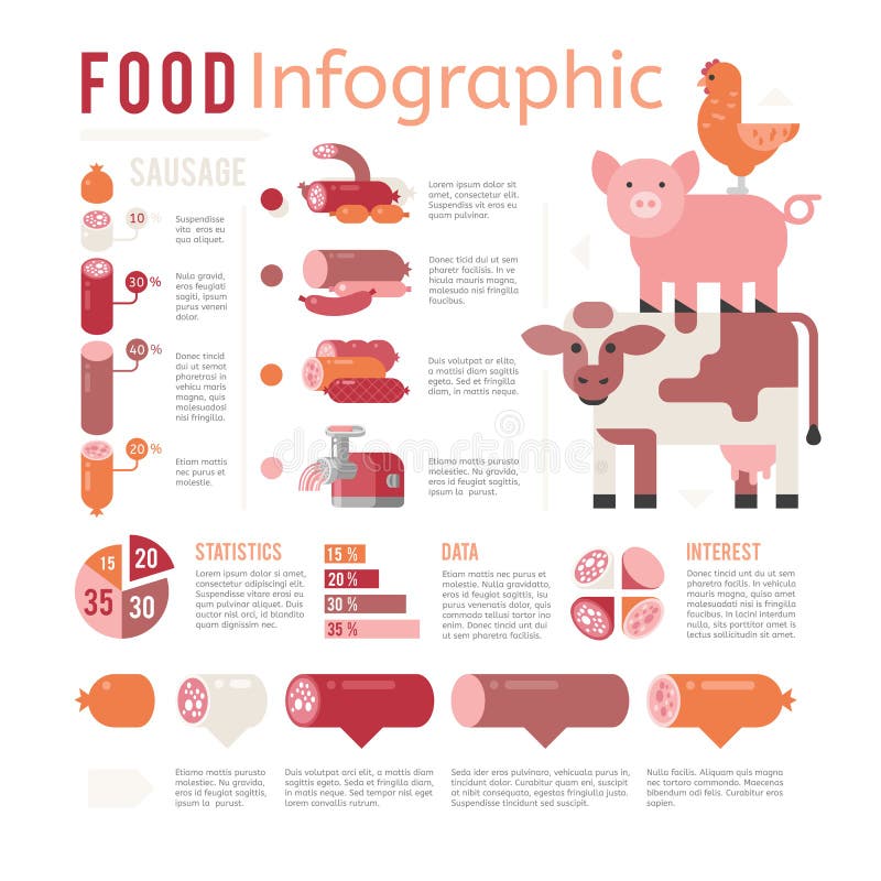 Meat Production Infographic Stock Vector - Illustration of graphic ...