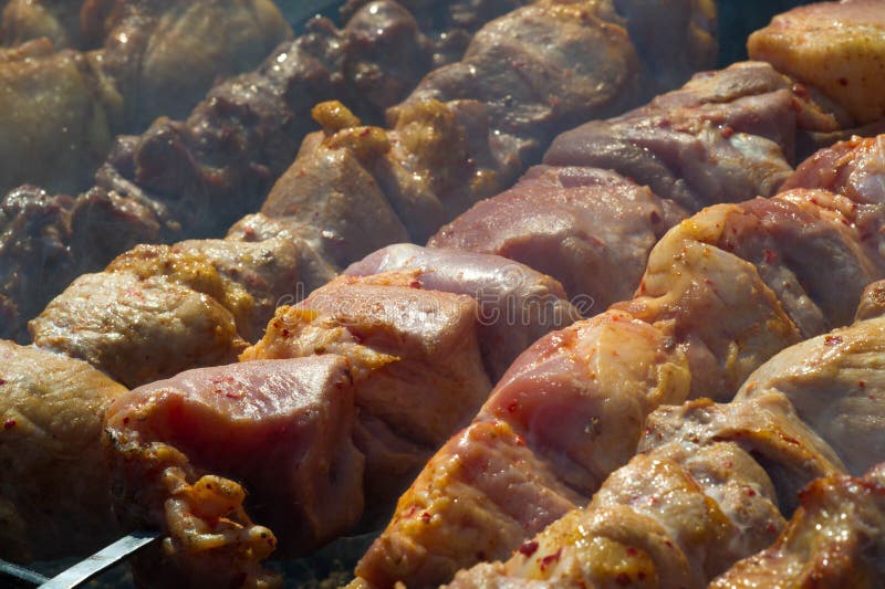 Meat Roasted on Coals on a Spindle, Barbecue, Shish Kebab. a Dish of ...