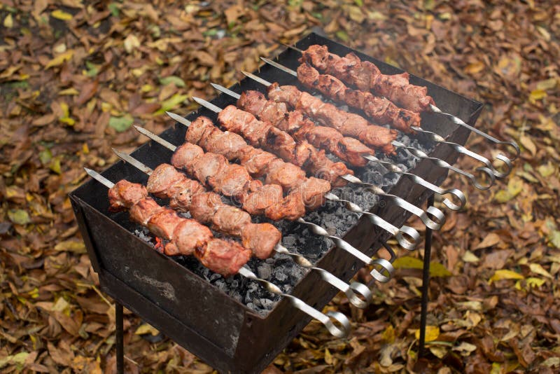 Meat Roasted on Fire Barbecue Kebabs on the Grill. Stock Photo - Image ...