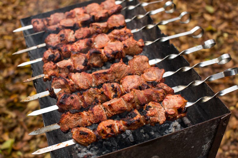 Meat Roasted on Fire Barbecue Kebabs on the Grill. Stock Photo - Image ...