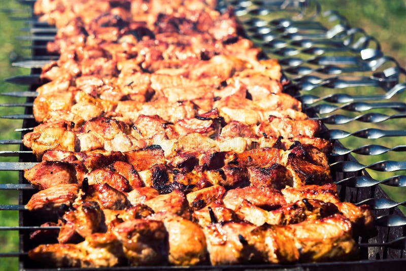 Meat Roasted on Fire Barbecue Kebabs on the Grill Stock Image - Image ...