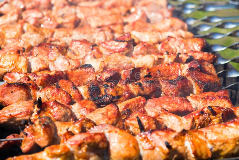 Meat Roasted on Fire Barbecue Kebabs on the Grill Stock Photo - Image ...