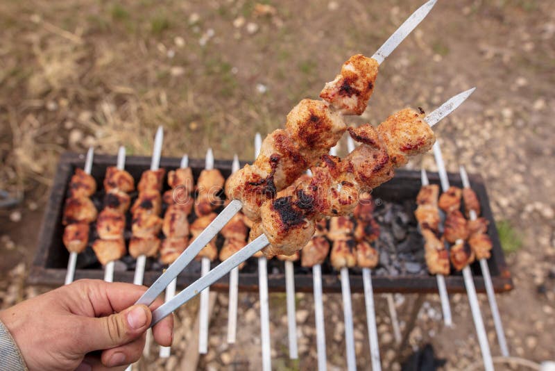 Meat Roasted on Sticks on Charcoal in Hand Stock Photo - Image of ...