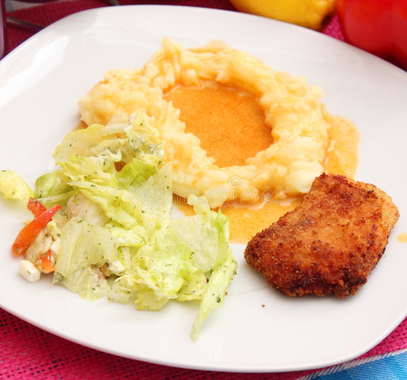 Meat with salad and puree stock image. Image of meat - 39195819