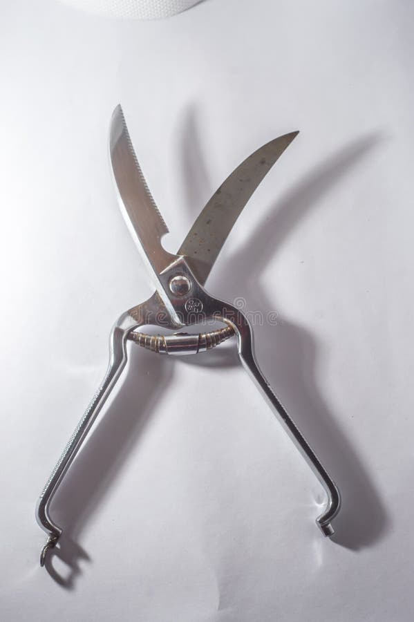 Meat Scissors, Commonly Used in Bakeries To Cut Chicken, White ...